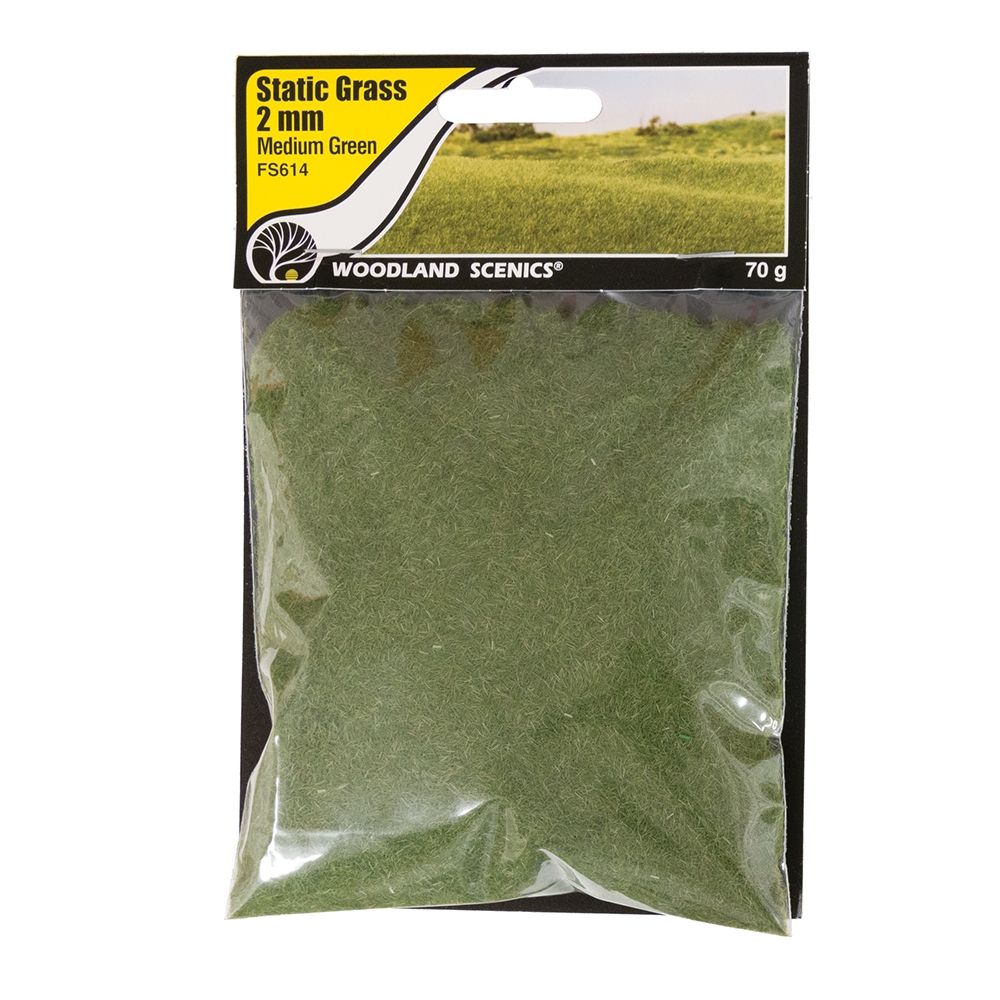 Static Grass 2mm Medium Green – Entoyment Wargaming and Hobby Centre